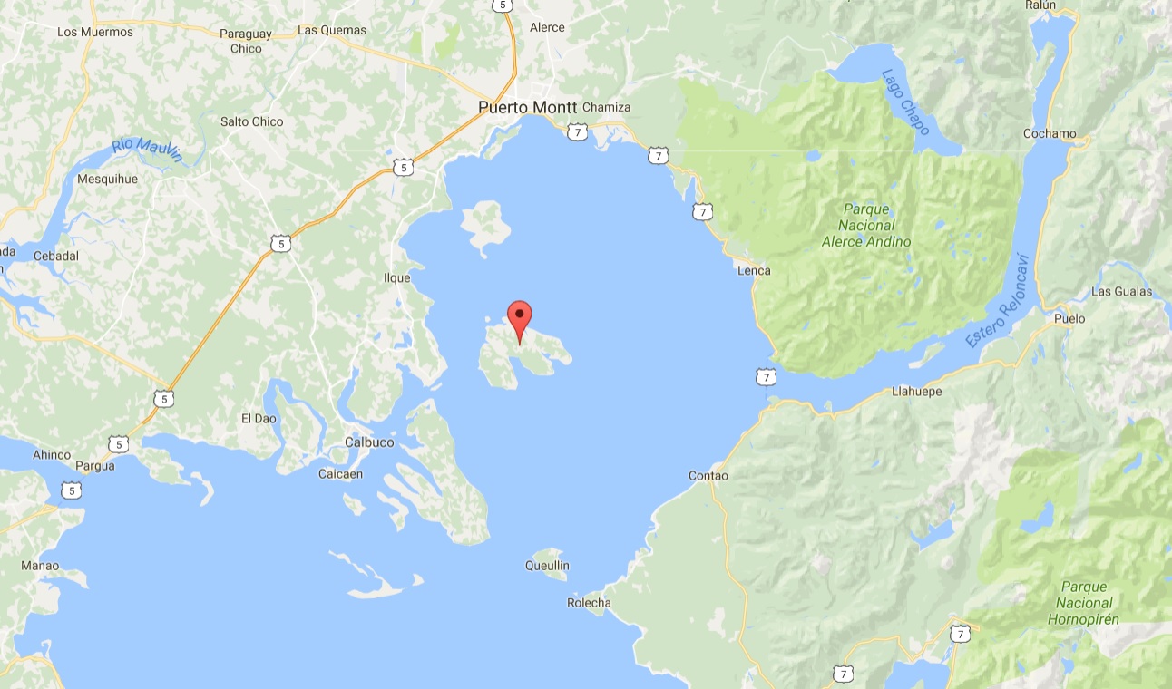 Calbuco: Plaga de Conejos afecta huertas de pequeños agricultores de ...